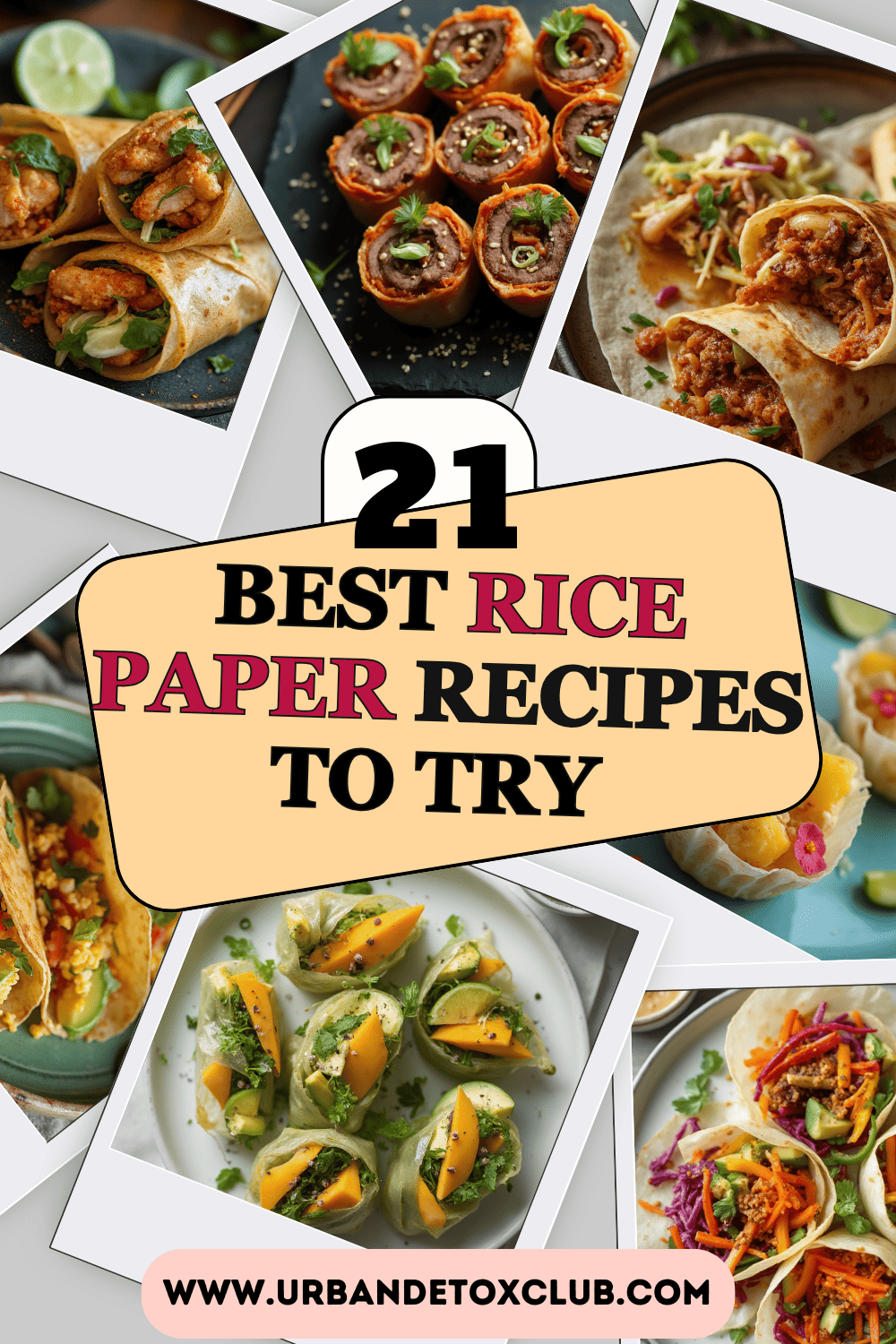 21 Top Picks for Rice Paper Meals That Wow with Every Bite - Urban ...